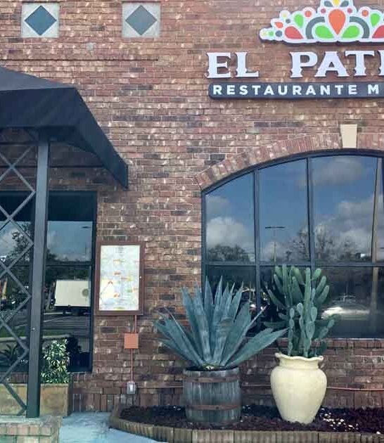 mexican buffet florida state ftr