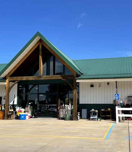 michigan antique store day ftr