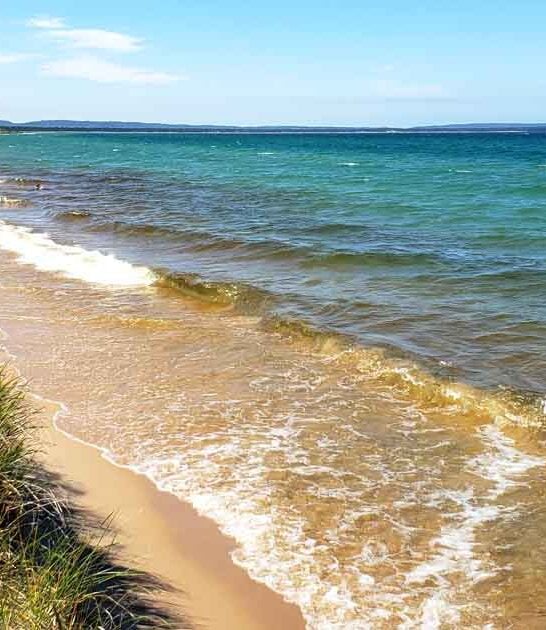 michigan beach pure magic ftr