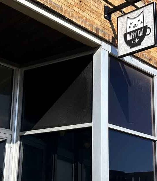 michigan cat cafe ftr