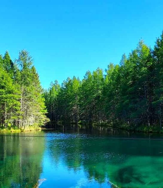 michigan discover park breathtaking ftr