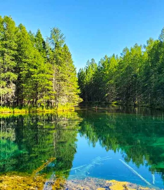 michigan discover spectacular park ftr
