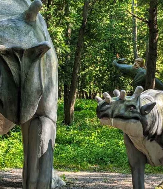 michigan dreamy storybook garden ftr
