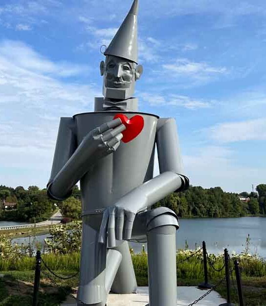 michigan home tin man ftr
