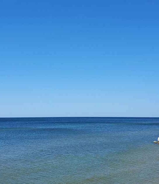 michigan secret hidden beach ftr