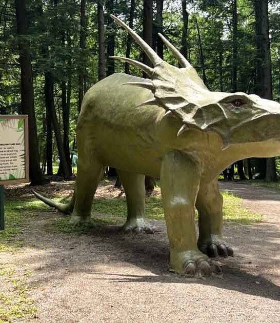 michigan whimsical garden storybook ftr