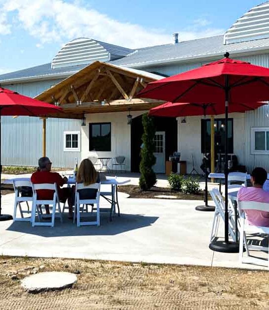 michigan winery playground view ftr