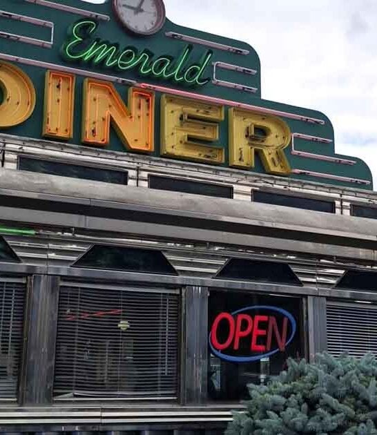 milkshakes retro ohio diner ftr