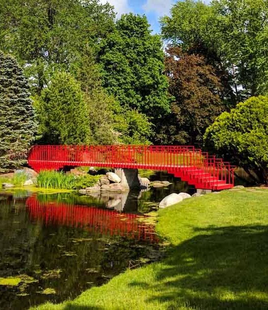 million dreamy michigan park ftr