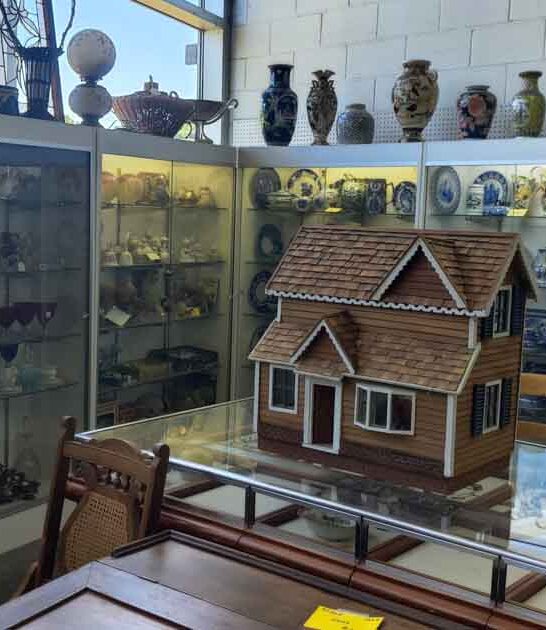 minnesota amazing antique store ftr