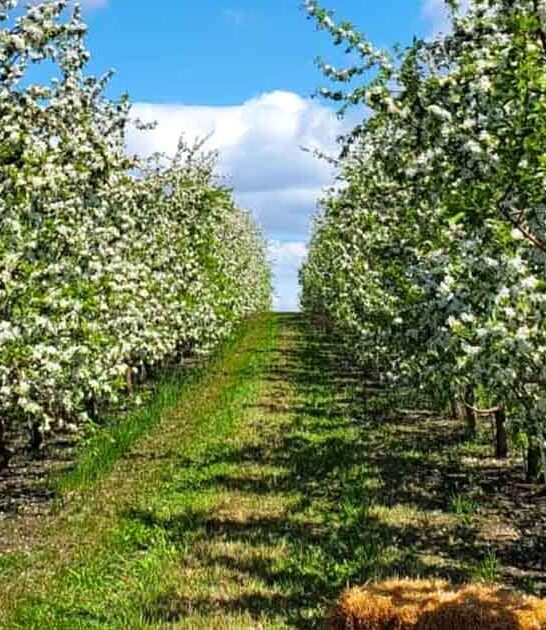 minnesota enjoy family farm ftr