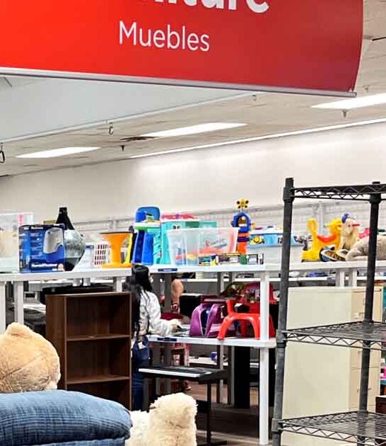 minnesota giant store treasures ftr