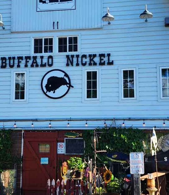 minnesota incredible vintage store ftr