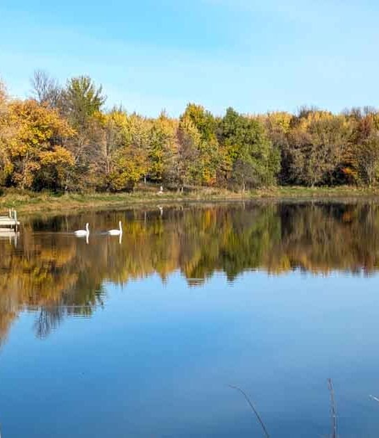 minnesota park summer day ftr