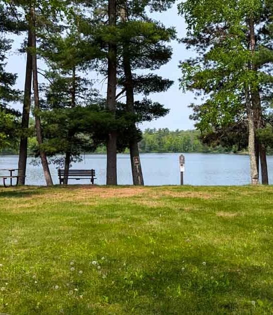 minnesota park walkers paradise ftr