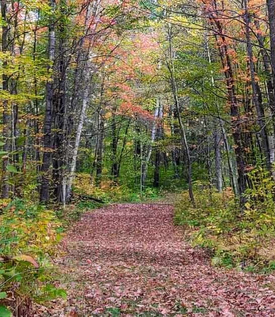 minnesota state park sleeping ftr