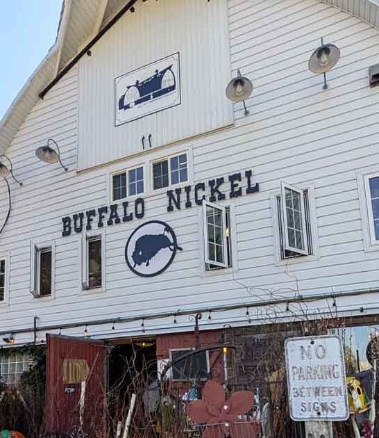 minnesota visit vintage shop ftr
