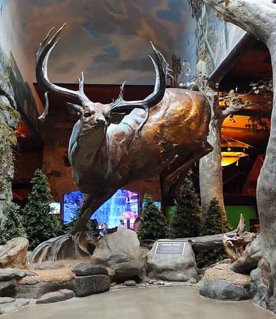 missouri americas best museum ftr