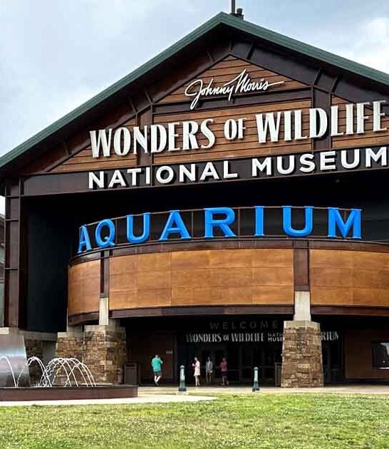 missouri highest rated museum ftr