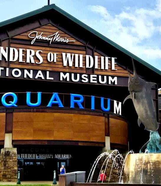 missouri museum top ranked ftr