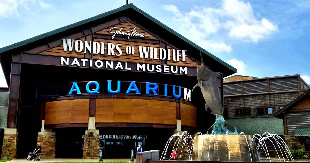 One Missouri Museum Was Just Ranked Among The Best In The Nation