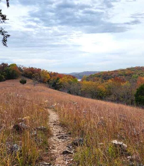 missouri outdoor state park ftr