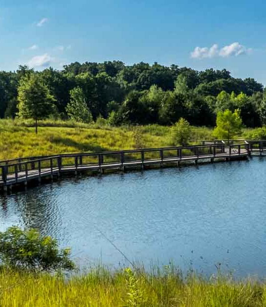 missouri visit swimming hole ftr