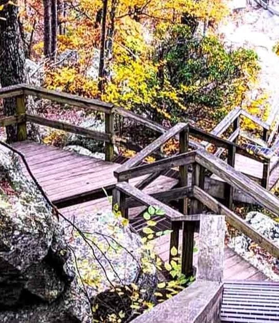 national park georgia gem ftr