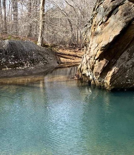 natural water park illinois ftr