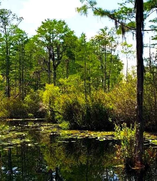 natural wonders georgia speechless ftr