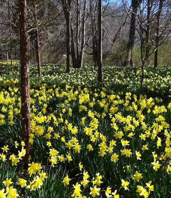 These 15 Nature Activities Will Make You Fall In Love With Massachusetts