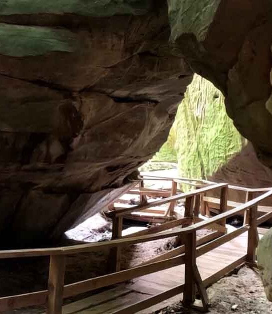 Every Nature Lovers Needs To Experience These 9 Alabama Attractions At Least Once
