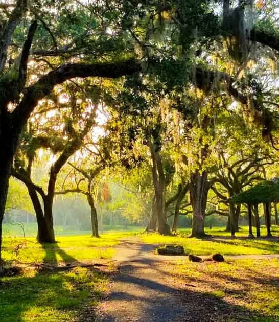 nature lovers florida spots ftr
