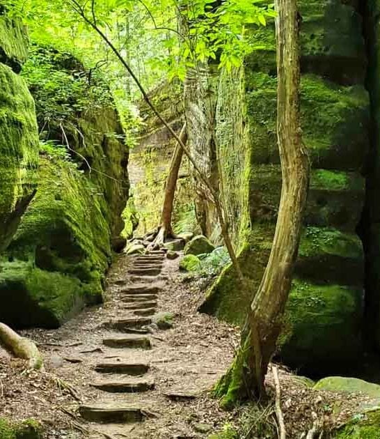 nature obsessed spots alabama ftr