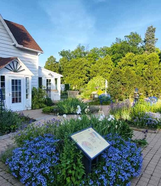 new jersey arboretum visit ftr