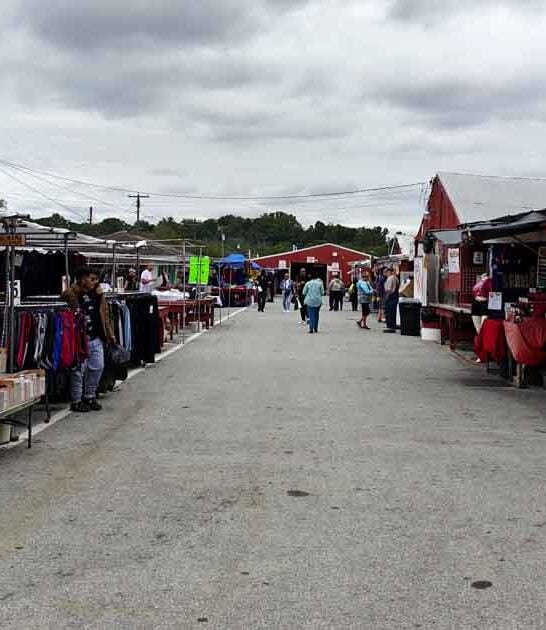 new jersey incredible market ftr