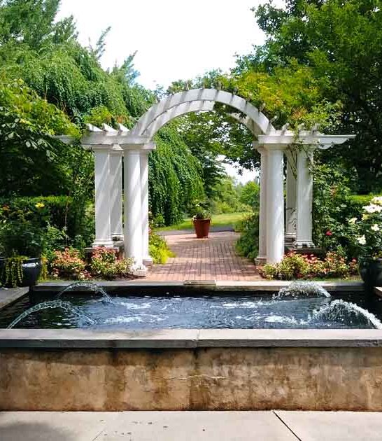new jersey magical arboretum ftr