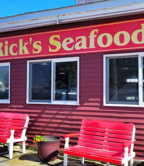 new jersey seafood gems ftr