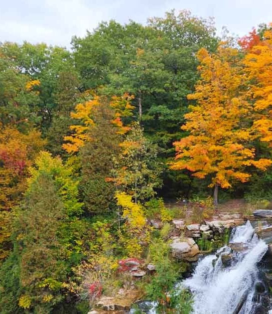 new york accessible park ftr