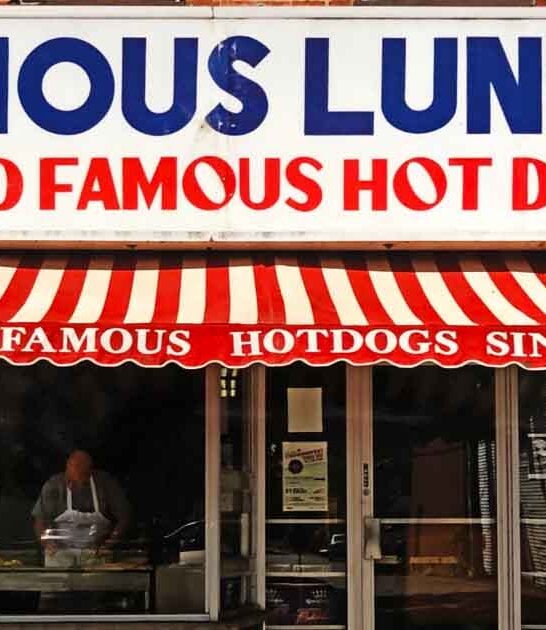 new york best dogs ftr