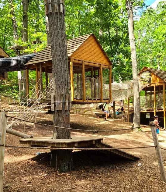 One Of New York&rsquo;s Best Adventure Parks Is Secretly Tucked Inside A Forest