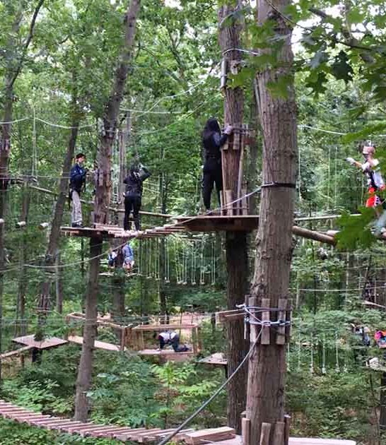 new york park forest ftr