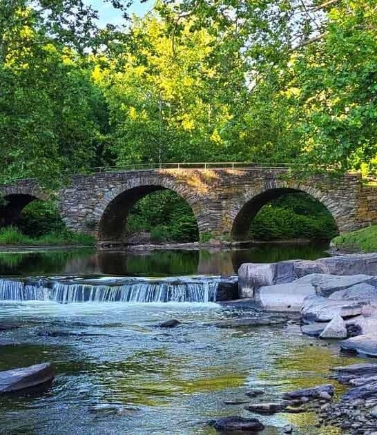 new york park history ftr