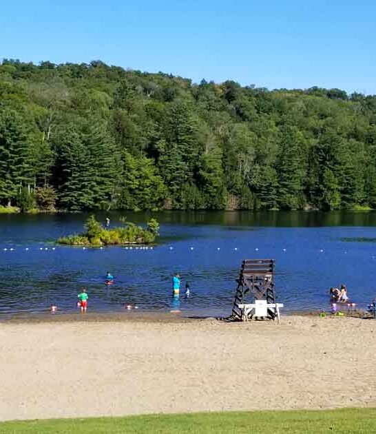 new york park paradise ftr