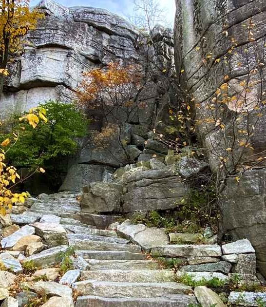 new york preserve paradise ftr