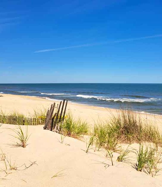 new york secret beach ftr