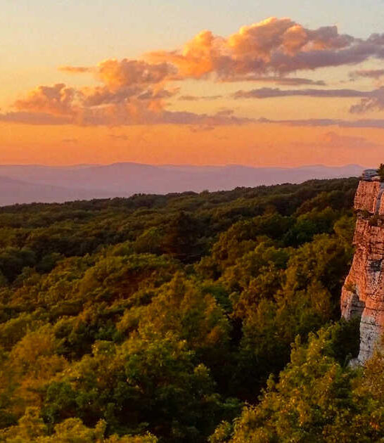 new york secrets preserve ftr