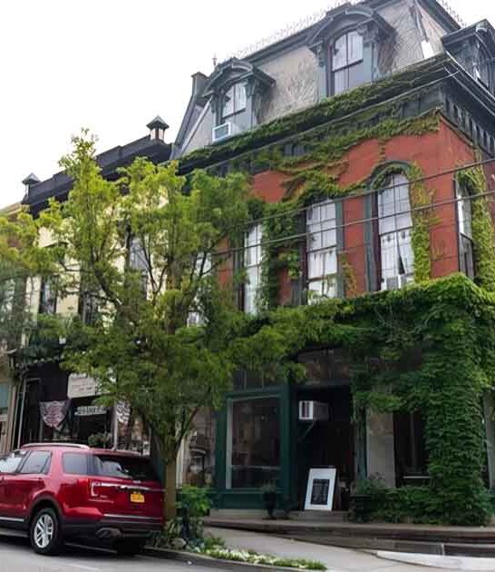 new york town calming ftr