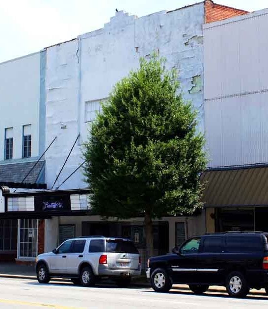 north carolina budget city ftr