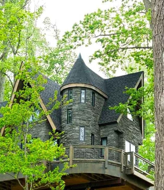 north carolina magic treehouse ftr